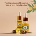 The Importance of Essential Oils in Your Skin Routine
